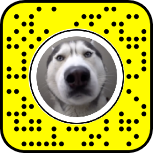 Top 10 Snapchat Facetime Filters in 2024 - HRM