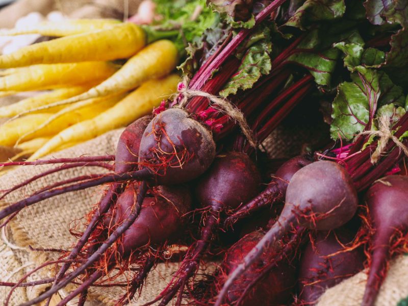 10 Reasons Why You Should Drink SuperBeets for Better Health and Energy ...